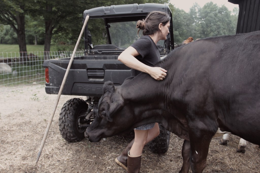 Photo Gallery – New England Animal Sanctuary